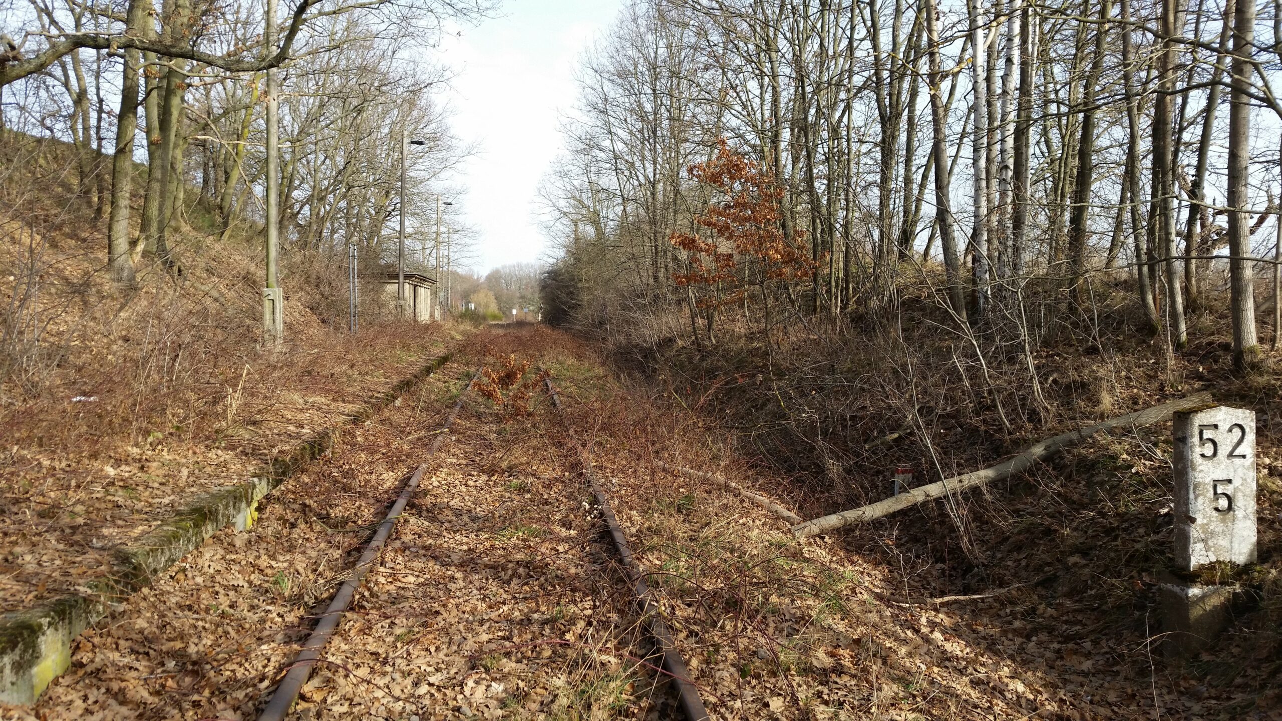 Reaktivierung der „Muldentalbahn“ Großbothen – Rochlitz – Narsdorf - ISB
